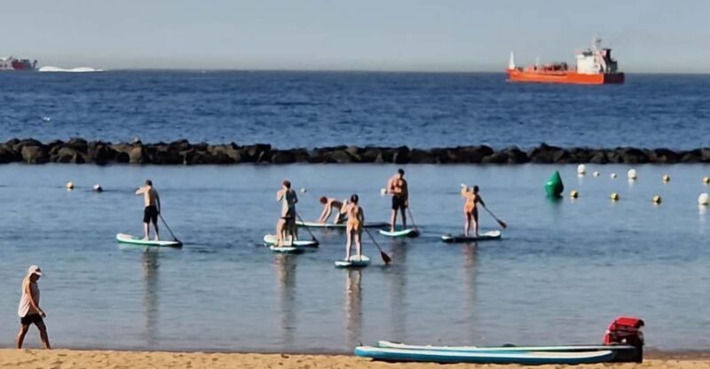 Santa Cruz de Tenerife: Las Teresitas Stand Up Paddle Course - Santa Cruz de Tenerife: Las Teresitas Stand Up Paddle Course