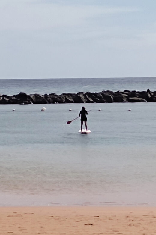 Santa Cruz de Tenerife: Las Teresitas Stand Up Paddle Course - Authentic Encounters and Real Review Highlights