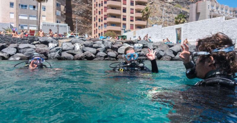 Santa Cruz de Tenerife: PADI Introductory Dive - An Honest, Detailed Look at the PADI Introductory Dive in Tenerife