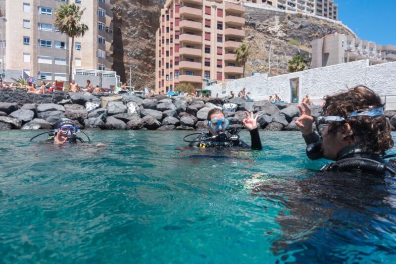 Santa Cruz de Tenerife: PADI Introductory Dive - Who Is This Experience Best For?