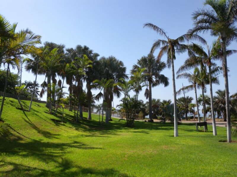 Santa Cruz de Tenerife Palmetum Entry Ticket - Key Points