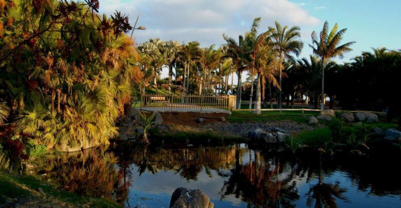 Santa Cruz de Tenerife Palmetum Entry Ticket - An In-Depth Look at the Palmetum Experience