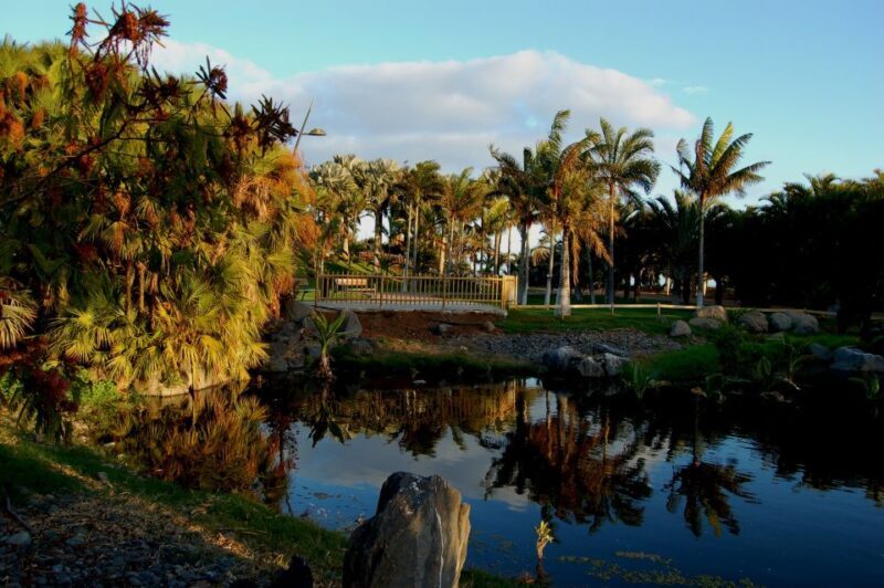Santa Cruz de Tenerife Palmetum Entry Ticket - Practical Tips for Visiting