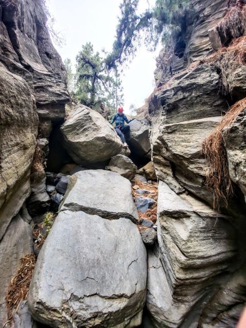 Santa Cruz de Tenerife: Vilaflor Canyoning Tour - The Reviews Speak for Themselves