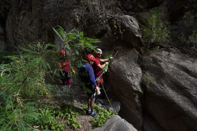 Santa Cruz de Tenerife: Vilaflor Canyoning Tour - The Practical Side: Pricing, Duration, and Access