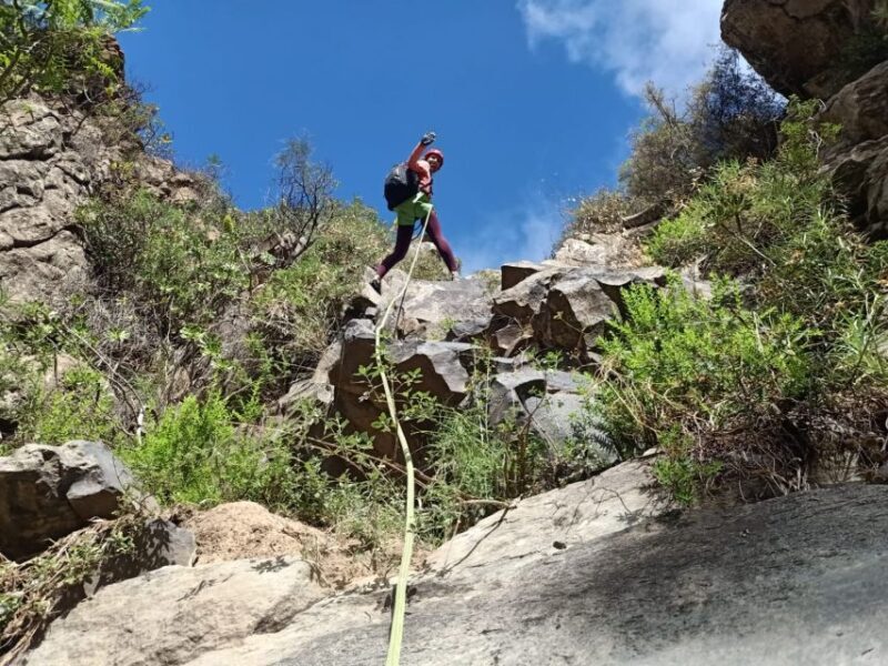 Santa Cruz de Tenerife: Vilaflor Canyoning Tour - The Sum Up: Is This Tour Worth It?