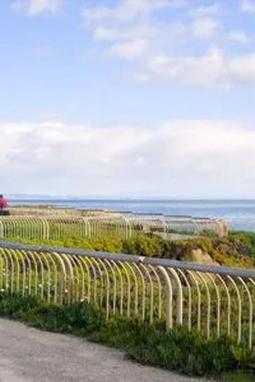 Santa Cruz: Guided eBike Tour - Key Points