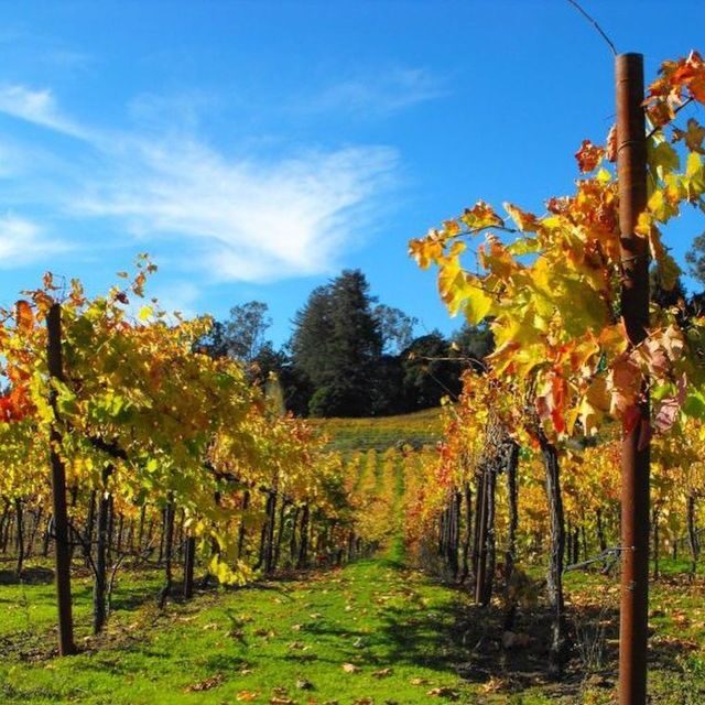 Santa Cruz: Private Custom Wine Tour with Hotel Pickup - Why This Tour Matters for Your Santa Cruz Visit