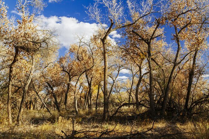 Santa Fe E-Bike Adventure Half-Day Tour - Introduction: What’s the Tour About?