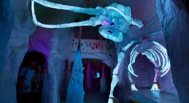 Santa Fe: Meow Wolf The House of Eternal Return Ticket - What Is the House of Eternal Return?