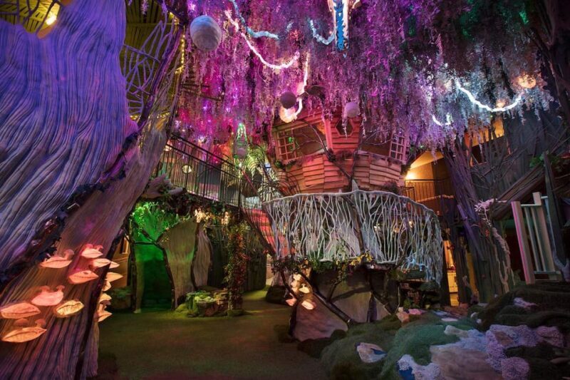 Santa Fe: Meow Wolf The House of Eternal Return Ticket - FAQs