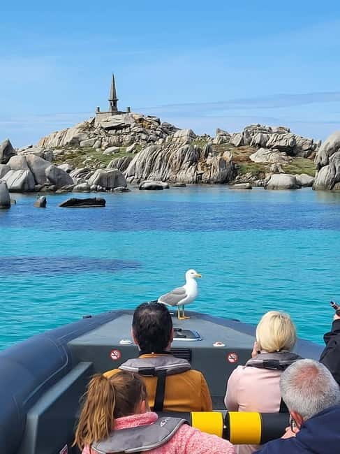 Santa-Giulia: Half-day trip, Lavezzi Islands and Bonifacio cliffs - An Overview of the Tour Experience
