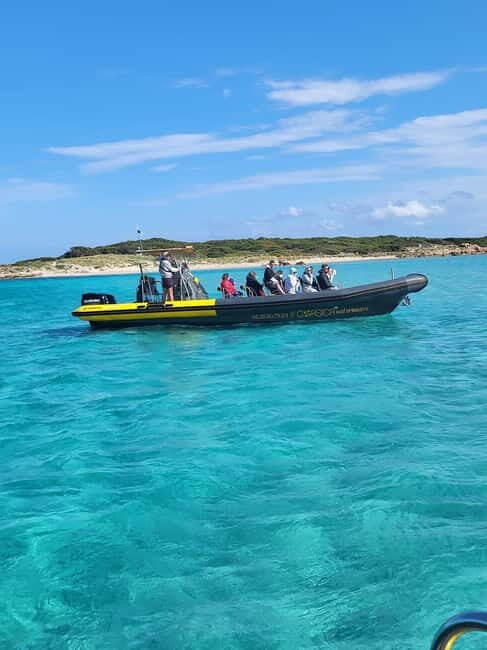 Santa-Giulia: Half-day trip, Lavezzi Islands and Bonifacio cliffs - Authenticity, Value, and Practical Tips