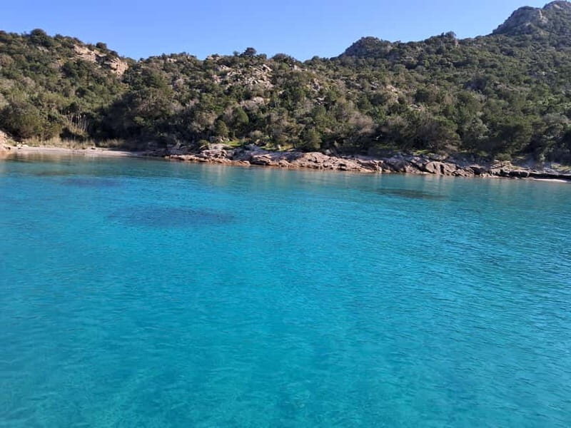 Santa-Giulia: Half-day trip to the Lavezzi Islands - The Sum Up