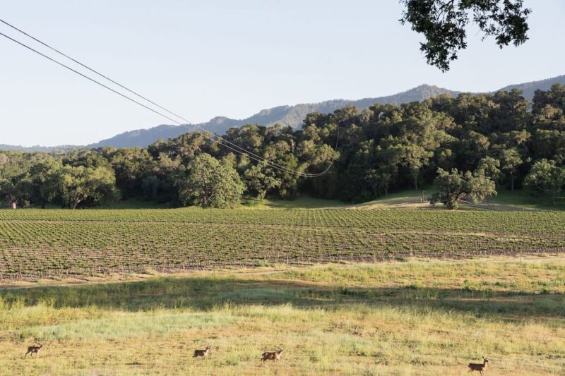 Santa Margarita: 6-Zipline Course Sunset Experience Ticket - The Landscape and Scenery: Why It Matters
