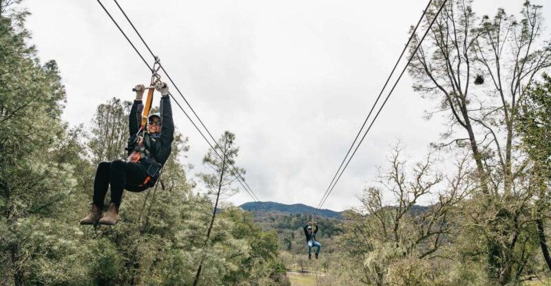 Santa Margarita: Margarita Adventure Wine Tasting & Zipline - Price and Value