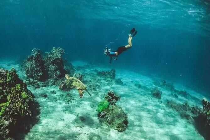 Santa Maria and Chileno Bay Snorkel Adventure Los Cabos - A Few Practical Tips