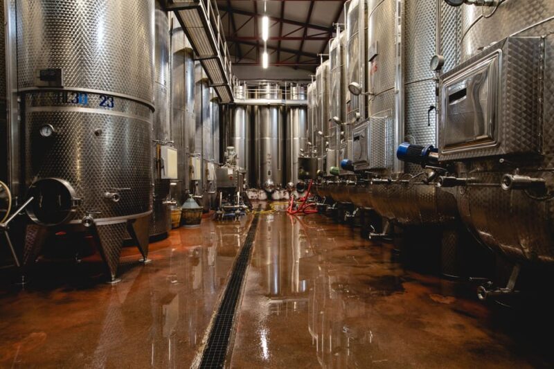Santa Maria della Versa: Grape Harvest & Wine Tasting Tour - Exploring the Experience in Detail