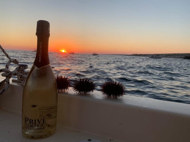SANTA MARIA DI LEUCA: TOUR ESCLUSIVO CON APERITIVO - Key Points