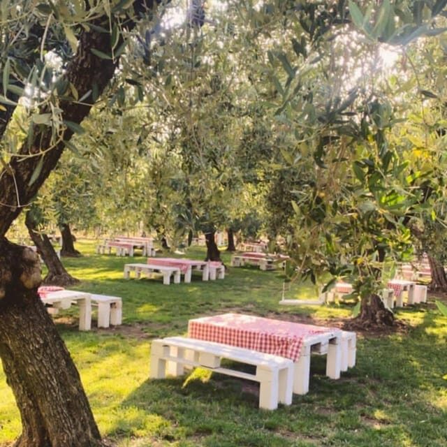 Santa Maria Imbaro: La Vinarte Picnic Under the Moonlight - What Makes This Experience Stand Out?
