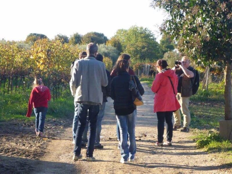 Santa Maria Imbaro: La Vinarte Wine tour - A Closer Look at the Experience