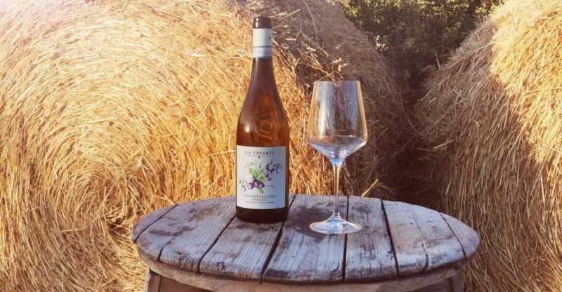 Santa Maria Imbaro: La Vinarte Wine tour - The Itinerary Breakdown