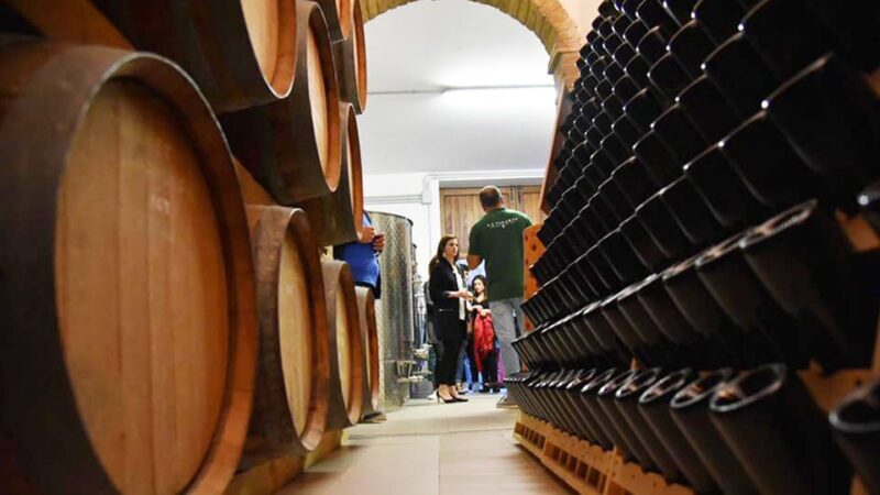 Santa Maria Imbaro: La Vinarte Wine tour - Who Will Love This Tour?