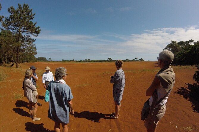 Santa Maria Island Jeep Safari Full Day Tour - Final Thoughts