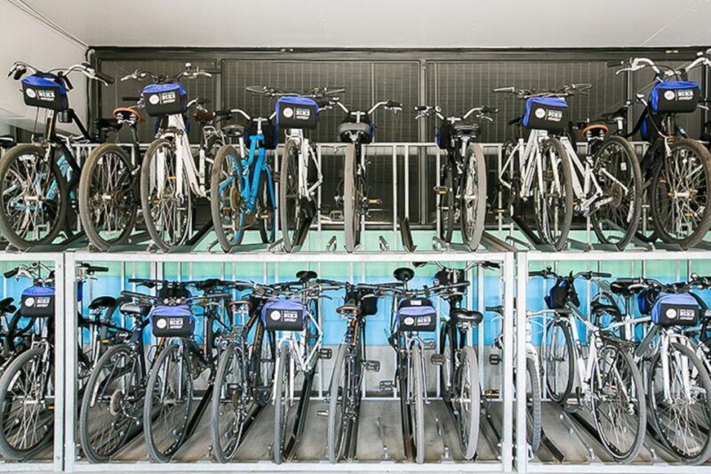Santa Monica: Full Day Bike Rental - Who Will Find This Experience Valuable?