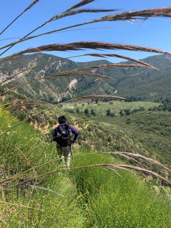 Santa Monica Mountains: Guided Hike Above Pacific Ocean - Key Points