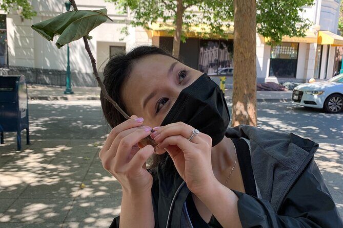 Santa Monica Scavenger Hunt - Key Points