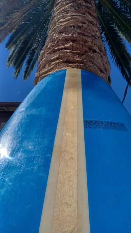 Santa Monica: Surfboard and Wetsuit Rental - Santa Monica: Surfboard and Wetsuit Rental — A Practical Guide for Wave Seekers