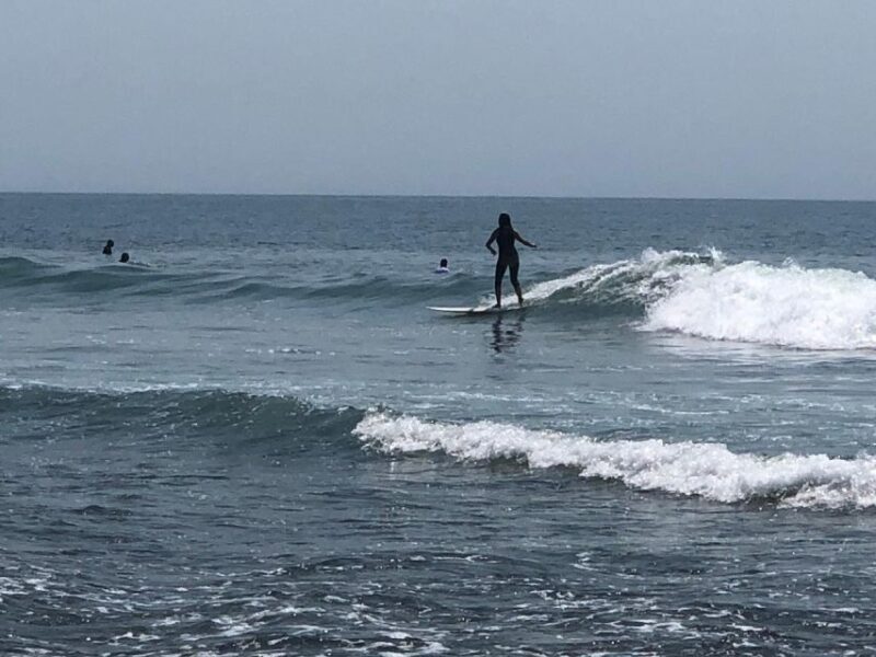 Santa Monica: Surfing Day Trip with Lunch - Introduction