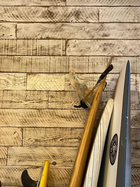 Santa Monica: Surfing Day Trip with Lunch - What Makes This Tour Stand Out