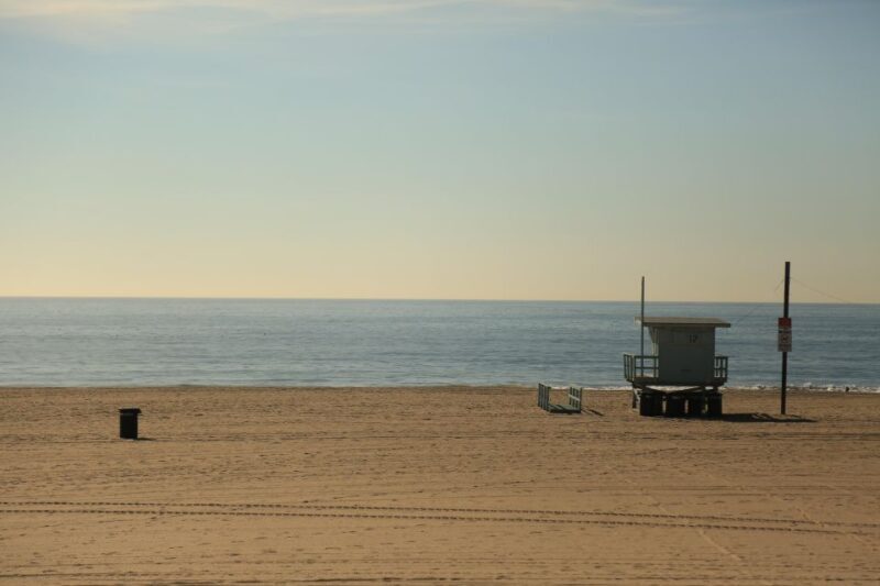 Santa Monica: Surfing Day Trip with Lunch - Possible Drawbacks & Considerations