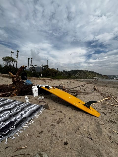 Santa Monica: Surfing Day Trip with Lunch - The Sum Up