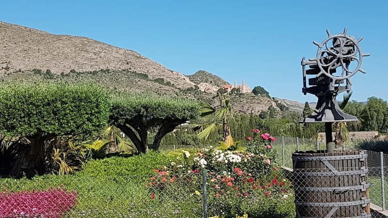 Santa Pola, Gran Alacan, Urbanova: Guided Wine Tasting Tour - Key Points