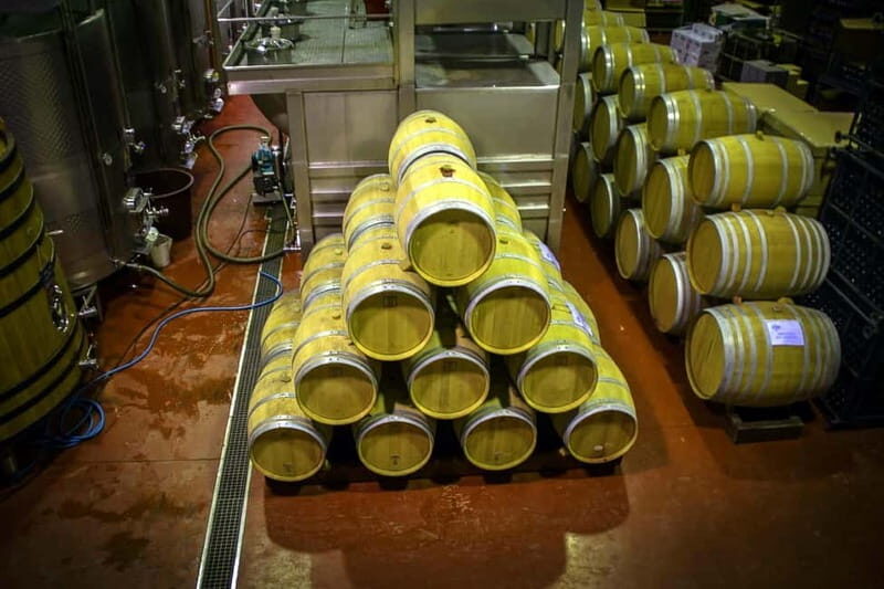 Santa Pola, Gran Alacan, Urbanova: Guided Wine Tasting Tour - Frequently Asked Questions
