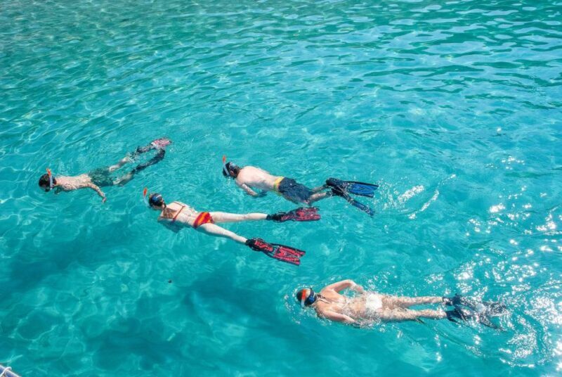 Santa Ponsa: Snorkeling Tour in a Marine Reserve - Who Will Love This Tour?