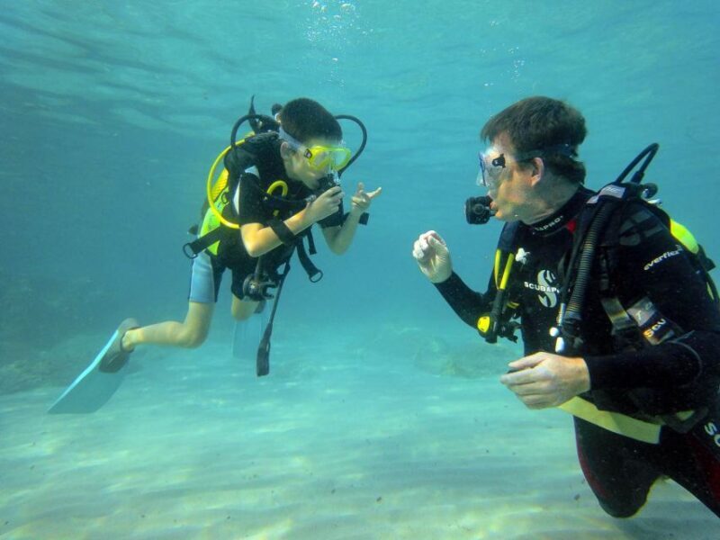 Santa Ponsa: Try Scuba Diving in a Marine Reserve - FAQ
