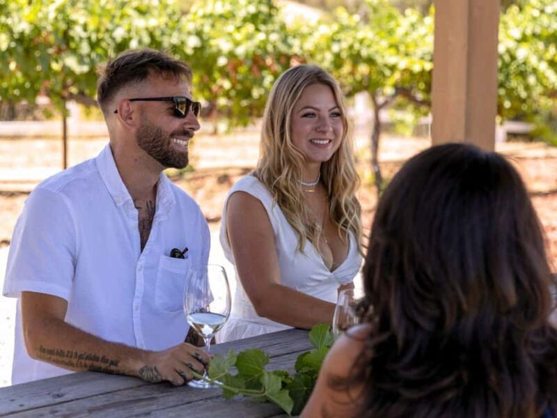 Santa Ynez: 3-Winery Tour Includes Tastings and Lunch - Key Points