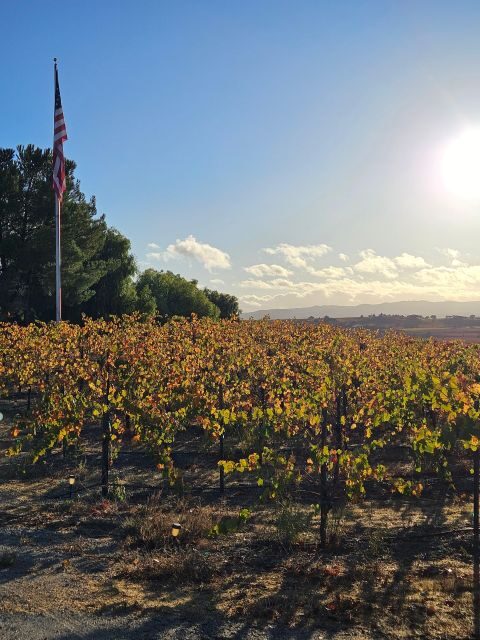 Santa Ynez: 3-Winery Tour Includes Tastings and Lunch - An Honest Look at the Santa Ynez 3-Winery Tour