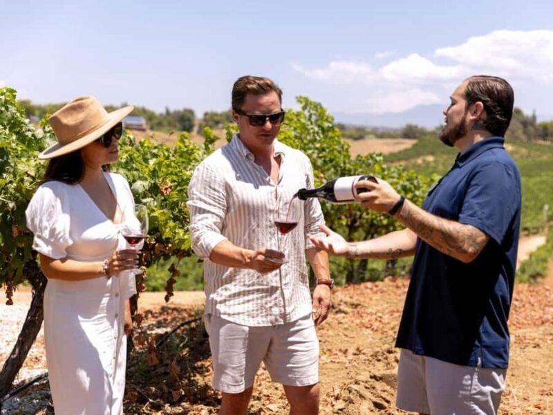 Santa Ynez: 3 Winery Tour with Picnic Lunch & Local Pickup - Key Points