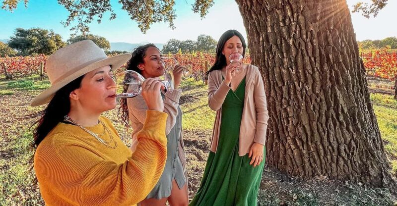 Santa Ynez: Private Wine Tour - Why Choose This Tour?
