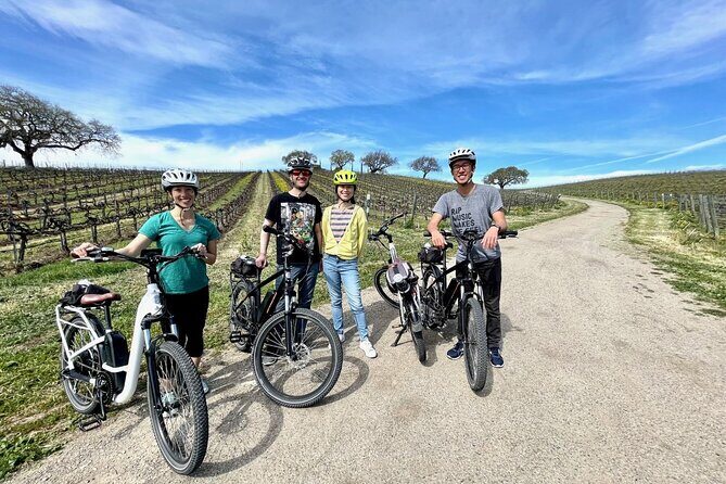 Santa Ynez Valley Biking and Wine Tasting Tour - The Complete Santa Ynez Valley Biking and Wine Tasting Experience