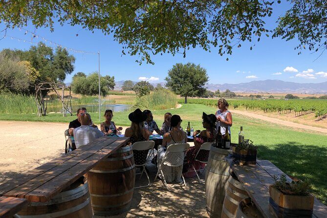 Santa Ynez Valley Private Wine Tours from Santa Barbara - Who Is This Tour Perfect For?