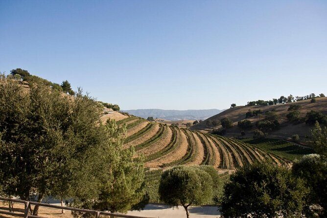 Santa Ynez Wine Shuttle - Starting Point & What to Expect at the Beginning