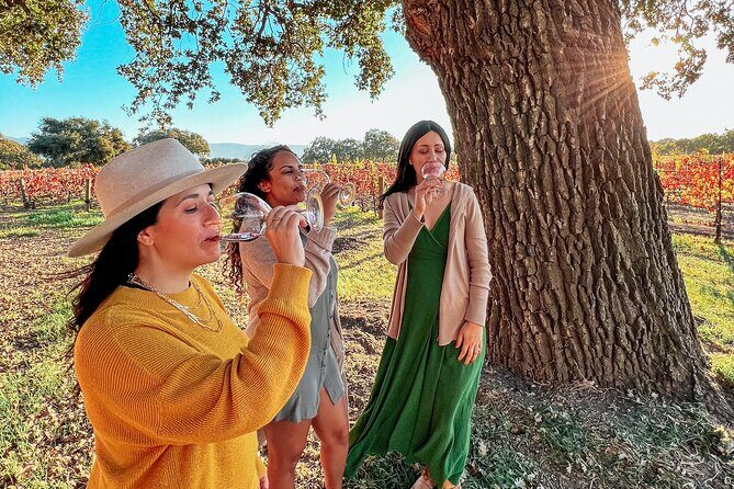 Santa Ynez Wine Tour (All-Inclusive) - The Full Experience: What to Expect on the Santa Ynez Wine Tour