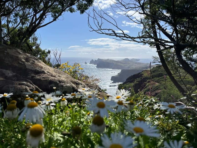 Santana: 4x4 Full-Day Tour to Northeast of Madeira Island - Setting the Scene: What the Tour Offers
