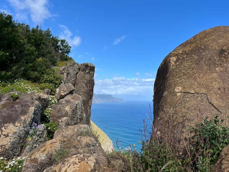 Santana: 4x4 Full-Day Tour to Northeast of Madeira Island - Unique Viewing Platforms